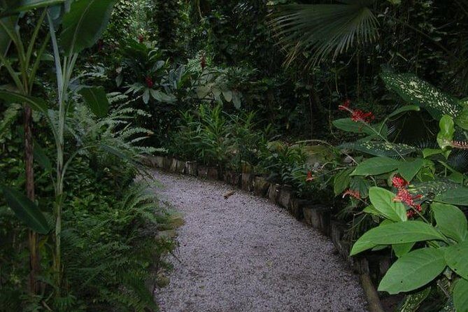 Best Soufiere Round the Island Tour - The Experience & Overall Value