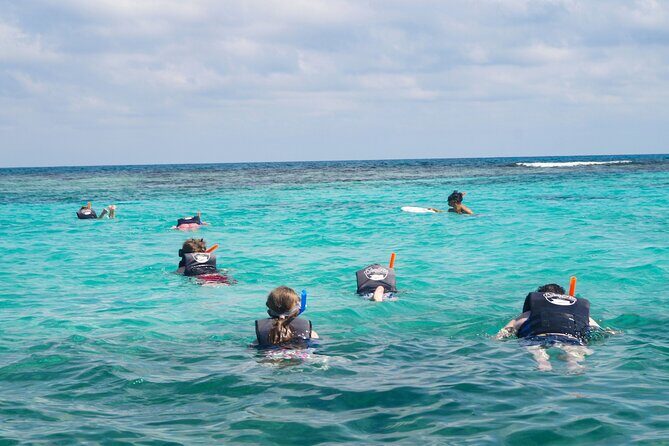 Best SpeedBoat and Snorkeling tour with Transfer from Cancun - An In-Depth Look at the Tour Experience
