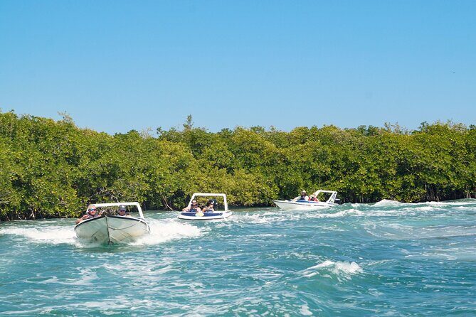 Best SpeedBoat and Snorkeling tour with Transfer from Cancun - Practical Tips for Participants