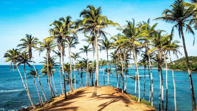 Best Sri Lanka Travel Guide: Top Attractions Discover - What’s Included and What’s Not