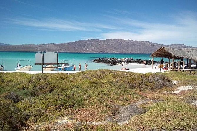Best Tour to Coronados Island - Wildlife and Landscape Wonders