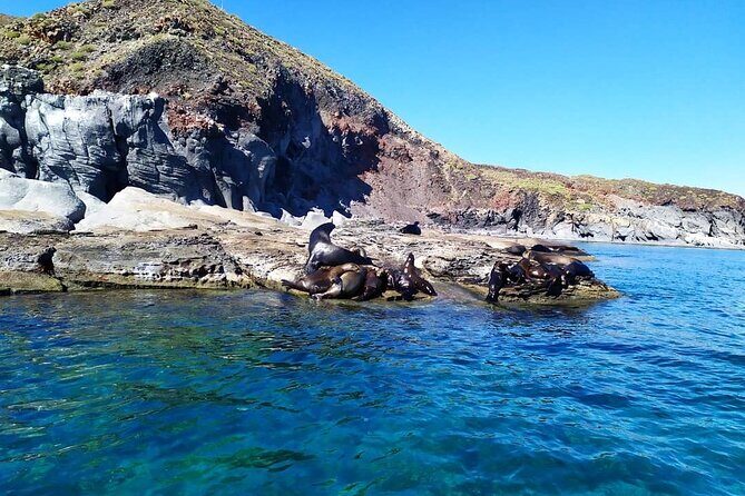 Best Tour to Coronados Island - Practical Details and Value