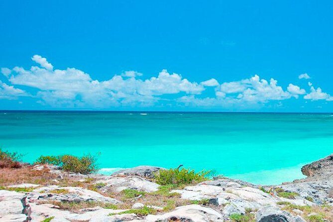 Best Tour to Tulum, Coba and Playa Del Carmen. No hidden fees! - Price and Value