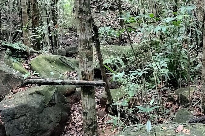 Best Trekking Tour In Phu Quoc (a Ngon Waterfall) - Final Thoughts: The Value of the Rainforest Trek