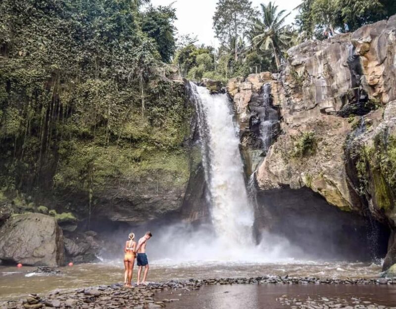 Best Ubud Tour Experience with Magical Kecak Dance - Who Will Appreciate This Tour?