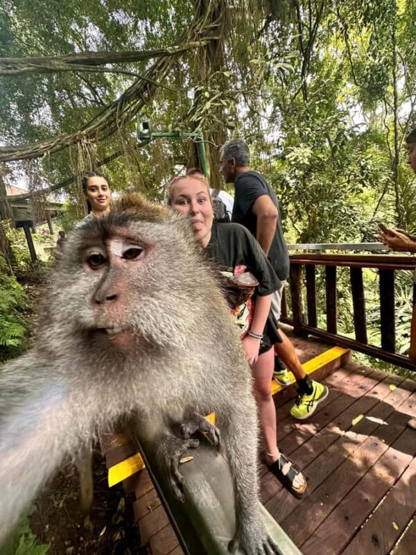 Best Ubud Tour - Ubud Instagramable Tour - Unveiling the Best Ubud Tour - Ubud Instagramable Tour