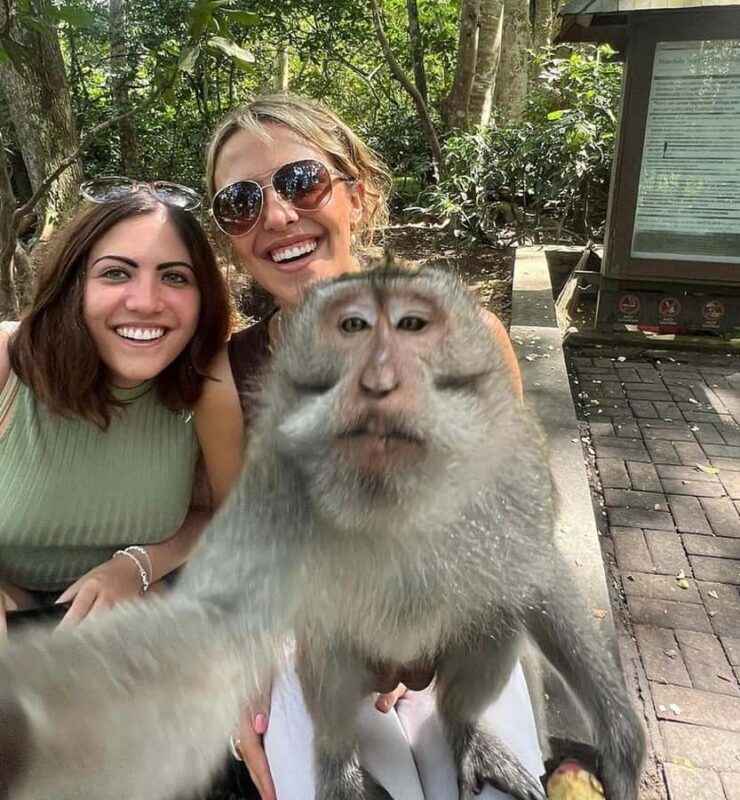 Best Ubud Tour - Ubud Instagramable Tour - Practical Considerations