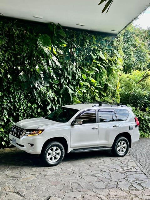 Best Value Deluxe Transportation La Fortuna - Tamarindo - Who Will Benefit Most From This Transfer?