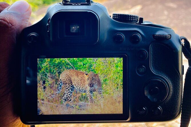 Best Value Yala Safari: Spot Leopards, Elephants & Bears (Shared) - FAQ