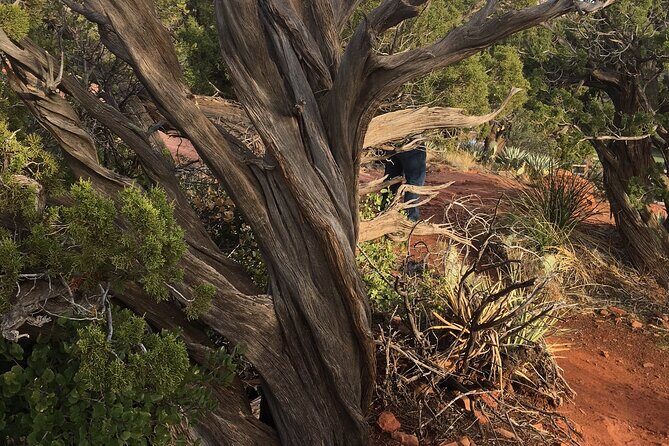 Best Vortex and Chakra Tour of Sedona - An Introduction to Sedonas Spiritual Side