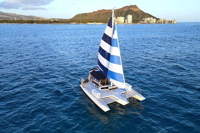 Best Waikiki Whale Watching in Honolulu: Whales Guaranteed - Why Choose This Whale Watching Tour?