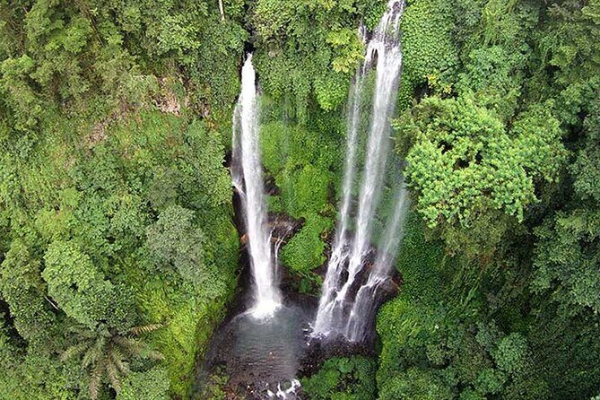 Best Waterfall In Bali Full Day Tour - Introduction
