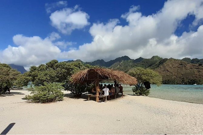 Best Way to Interact with Ocean Wildlife with Lunch. 6H - Key Points