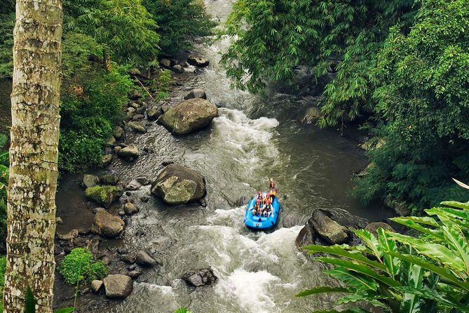 Best White Water Rafting with Lunch and Private Transfer in Bali - Key Points