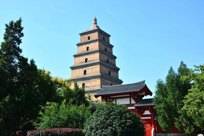 Best Xi'an Private Day Tour with Terracotta Warrior Entry Ticket Option - Transportation & Guide Service