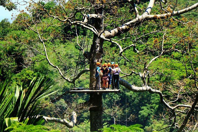 Best Ziplines Adventure 30 platforms with free transfer - Why This Tour Works Well
