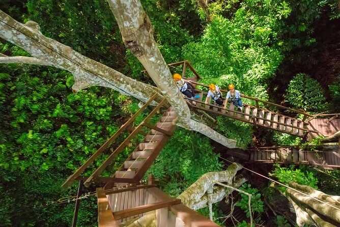 Best Ziplines Adventure 30 platforms with free transfer - The Sum Up