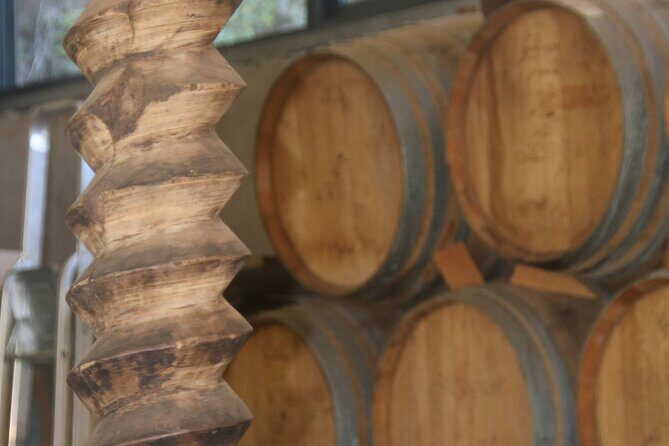 Bestselling Wine Tour, Tasting Experience & Skywalk 4x4 Adventure - Who This Tour Is Best For