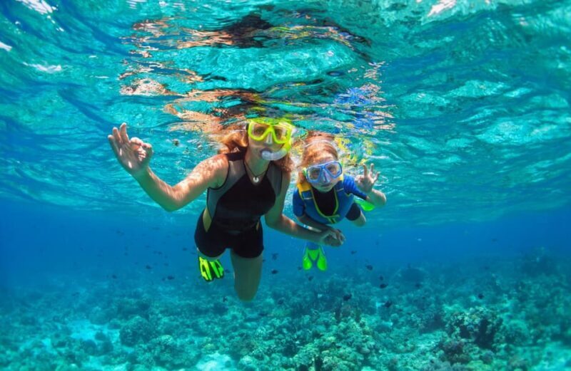 Between Cliffs and Sea: Trip to Cadaqués and Paradise swim - Key Points