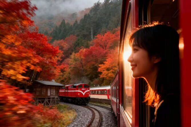 Between Cloud Sea and Ancient Woods Alishan Awaits - Key Points