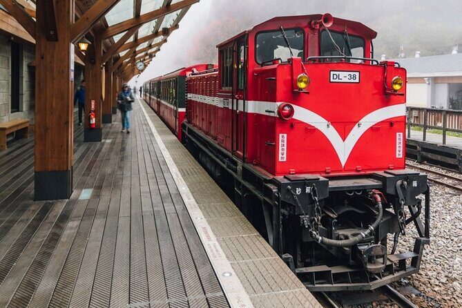 Between Cloud Sea and Ancient Woods Alishan Awaits - The Sum Up