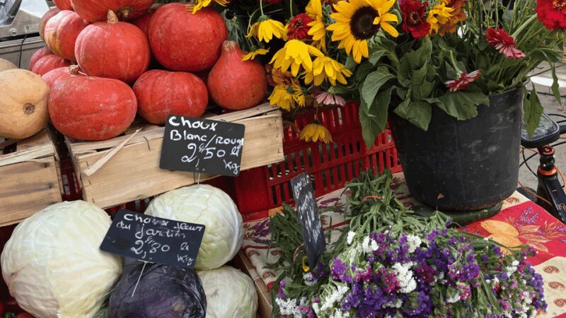 Between sea and hills: in the footsteps of Allauch, Aix, Marseille - FAQ
