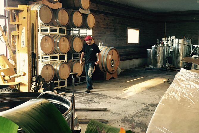 Between The Lines Classic Wine Tasting - Why This Tour Offers Great Value
