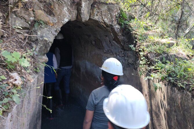 Between Tunnels and Bats - Key Points