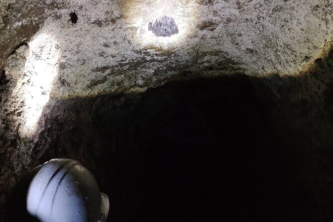 Between Tunnels and Bats - Who Will Love This Tour?