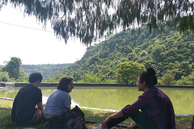 Between Tunnels and Bats - The Sum Up