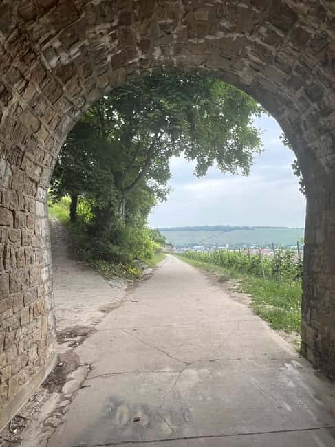 Between vineyards and a royal residence  enjoy Würzburg's wines with a view - Key Points