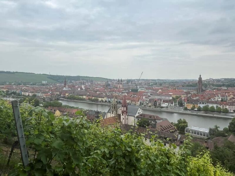 Between vineyards and a royal residence  enjoy Würzburg's wines with a view - FAQ about the Würzburg Wine & View Tour