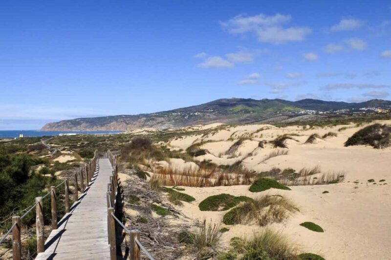Between Worlds: Emotional Journey Through Sintra & Cascais - An Experience Beyond Typical Sightseeing