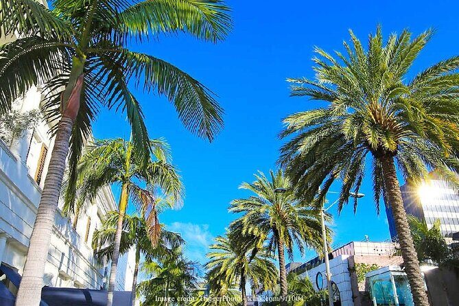 Beverly Hills & Rodeo Drive: Private 2-hour Walking Tour - Who Would Enjoy This Tour?