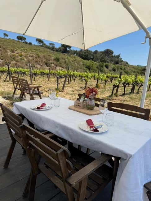 Beyond Barcelona: Gaudí, Wine & Hidden Treasures - Who Will Love This Tour?