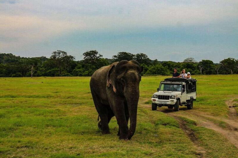 Beyond Beaches: 4-Day trip into Sri Lankas Cultural Heart - Detailed Itinerary Breakdown