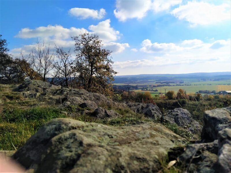 Beyond Brno: Secrets of Moravian Nature - Half-Day Tour - Key Points