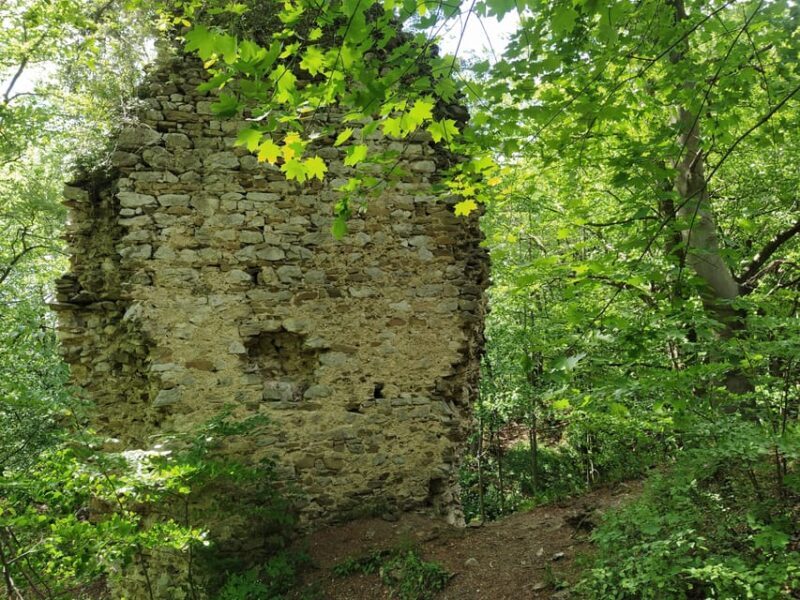 Beyond Brno: Secrets of Moravian Nature - Half-Day Tour - The Journey Begins: A Clear Plan for a Memorable Experience