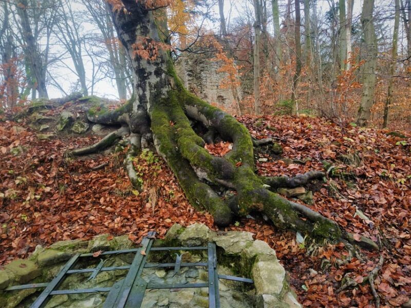 Beyond Brno: Secrets of Moravian Nature - Half-Day Tour - The Value of This Tour