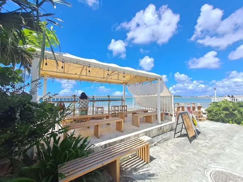 Beyond the Blue Horizon  A Day of Love and Light in Okinawa - Who Should Consider This Tour?