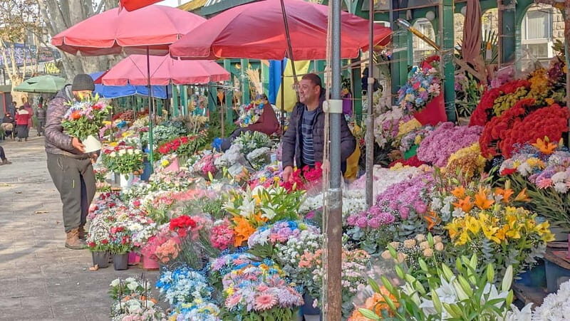 Beyond the Old City: Tbilisi's Hidden Gems Walking Tour - A Closer Look at the Tour Itinerary