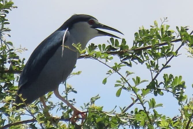 Beyond The Oudong Temple and Birdwatching in Phnom Penh - Scenic Drive Along Tonle Sap Riverside