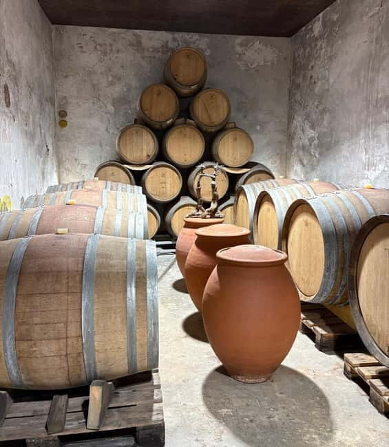 Béziers: Wine and Oyster Tasting Tour at Thau lagoon - The Value and Who Will Love This Tour