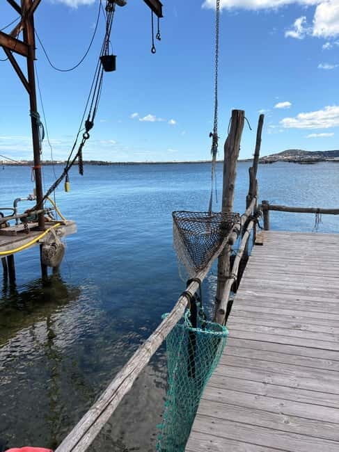 Béziers: Wine and Oyster Tasting Tour at Thau lagoon - FAQ