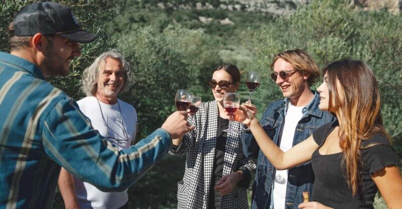 Béziers : Wine Tours & Wine tasting - Who Will Love This Tour?