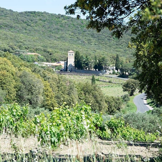 Béziers : Wine Tours & Wine tasting - Practical Details That Matter