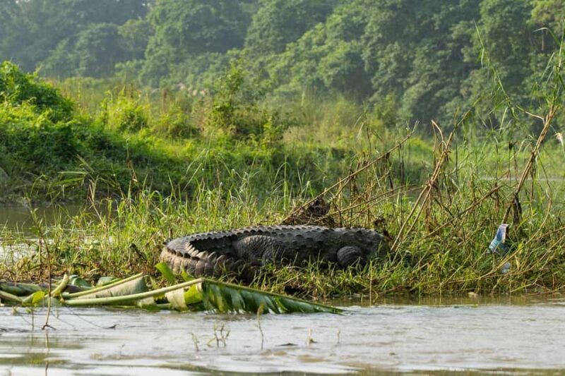 Bharatpur: 20000 Lake Guided Tour by Guide in Bicycle - Exploring the Lake’s Surroundings