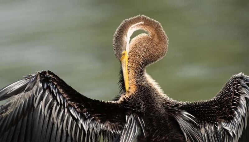 Bharatpur: Keoladeo National Park Guided Tour with Pickup - Key Points