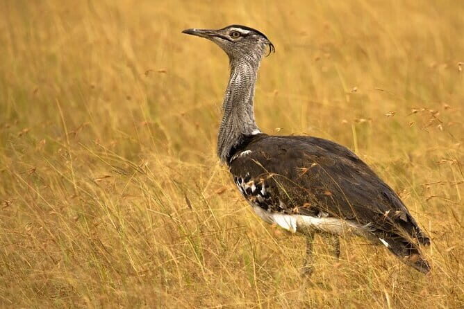 Bhuj to Narayan Sarovar Sanctuary Private Day Tour - Introduction