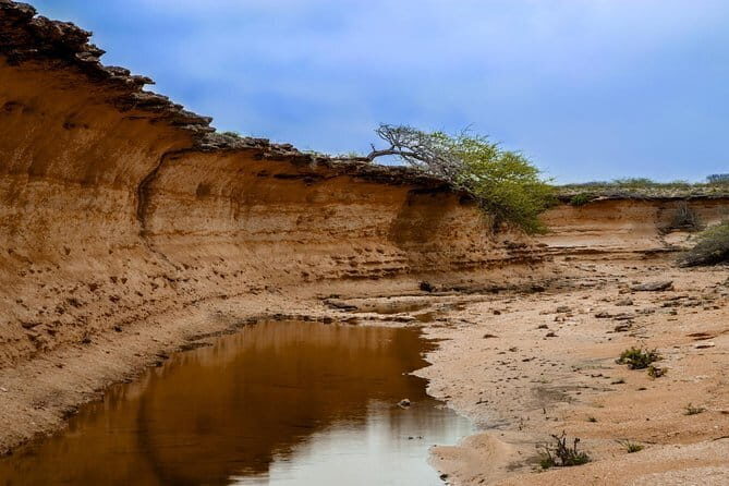 Bhuj to Narayan Sarovar Sanctuary Private Day Tour - Comprehensive Breakdown of the Experience